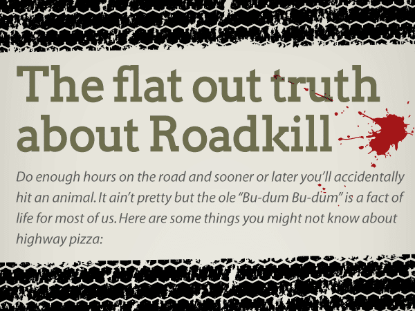 Roadkill Facts & Stats, The Flat Out Truth About Roadkill