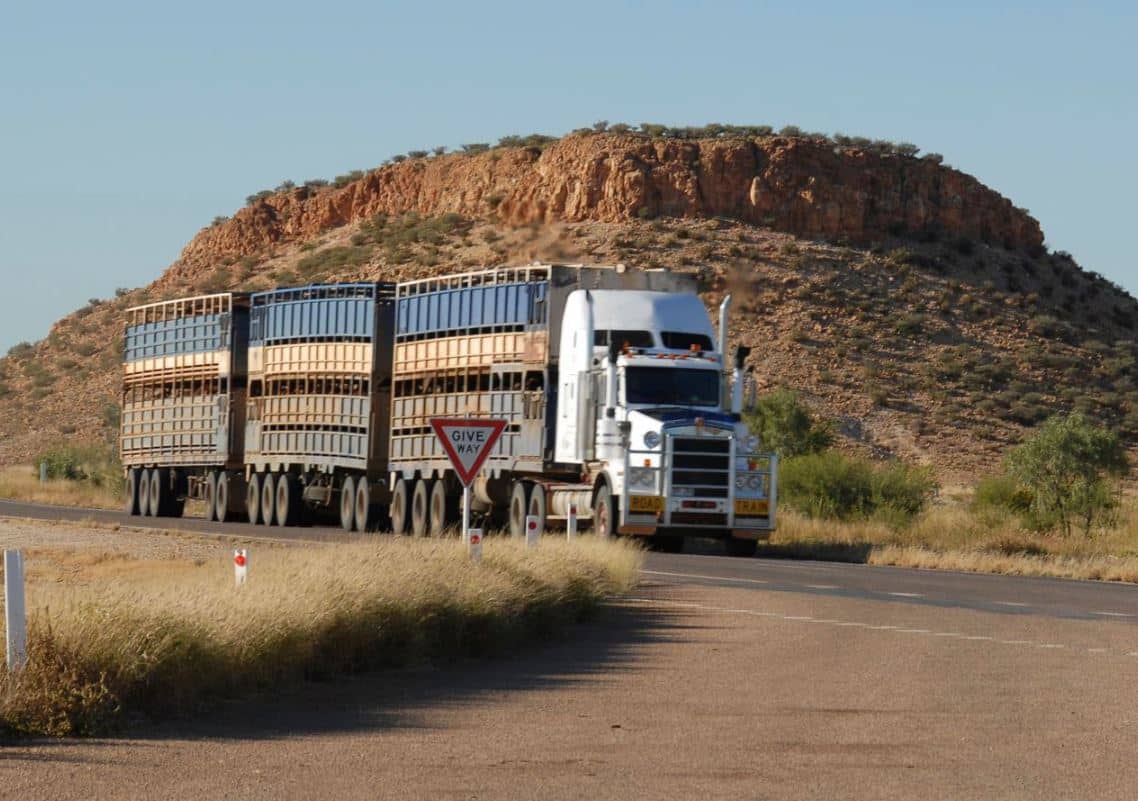 Call for universal heavy vehicle licensing