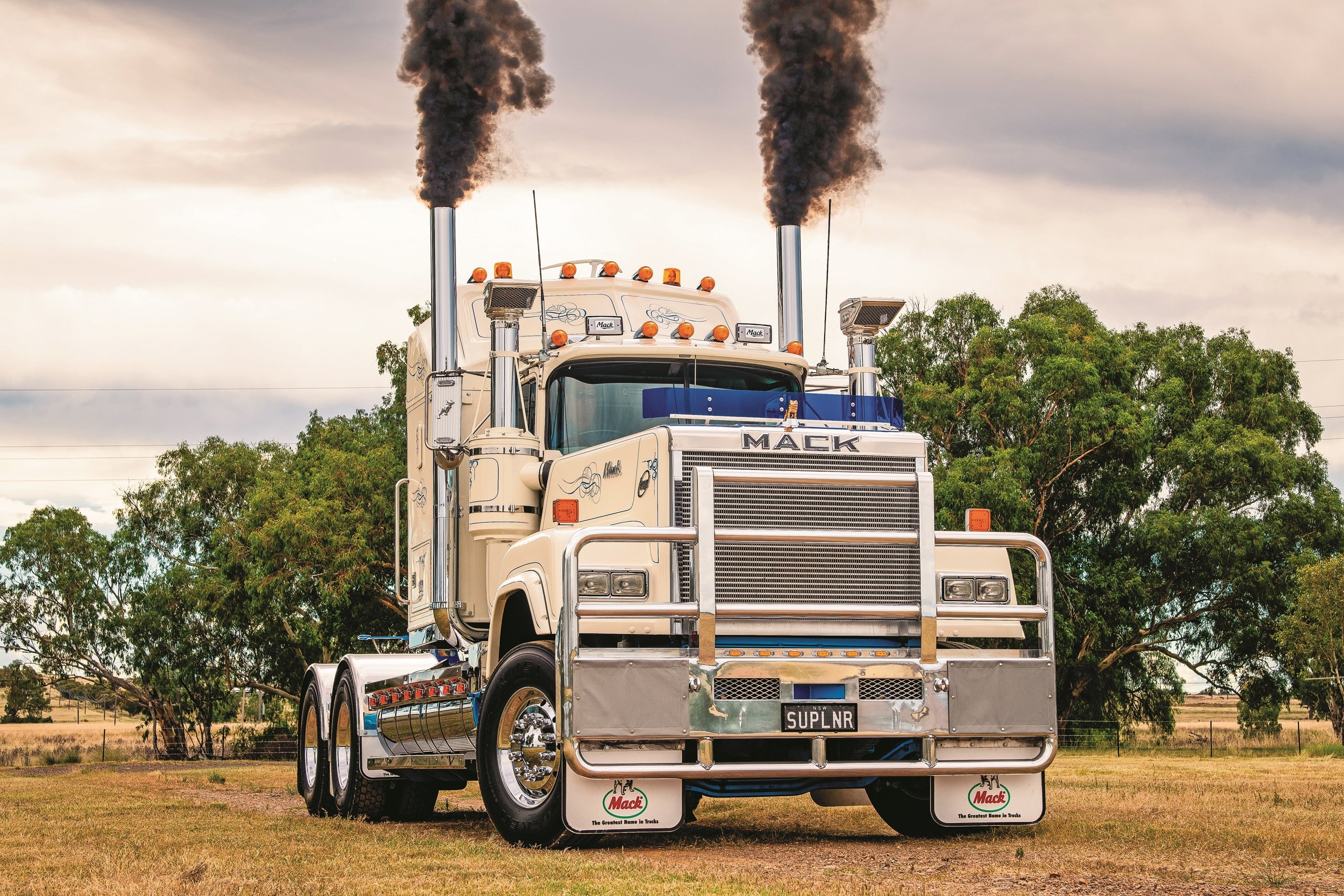 Picture perfect Superliner